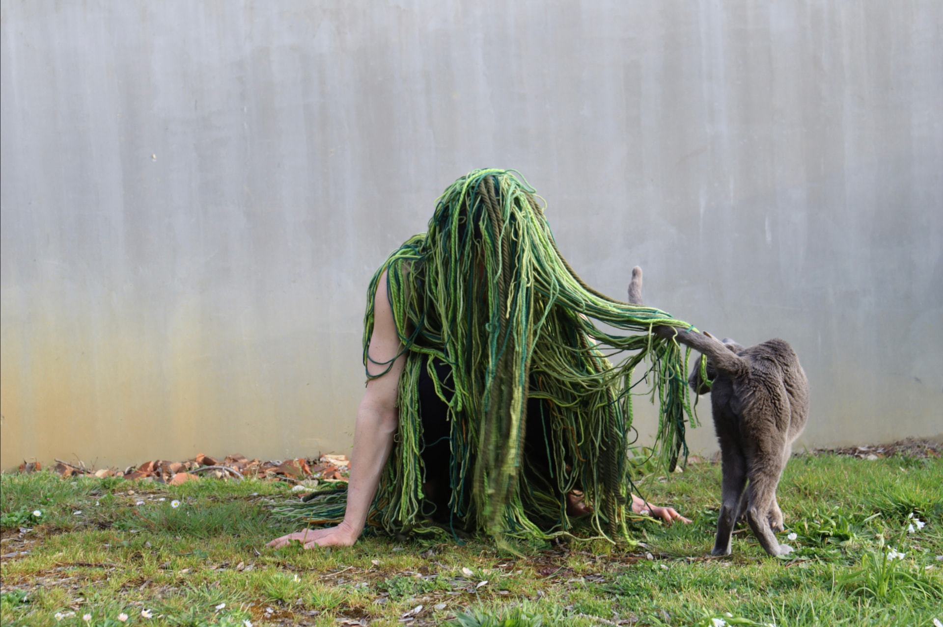 Visual Arts - Victorian College of the Arts Secondary School | VCASS